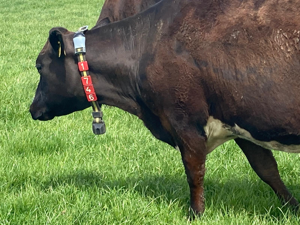 Number-Sets for Collars – EFS