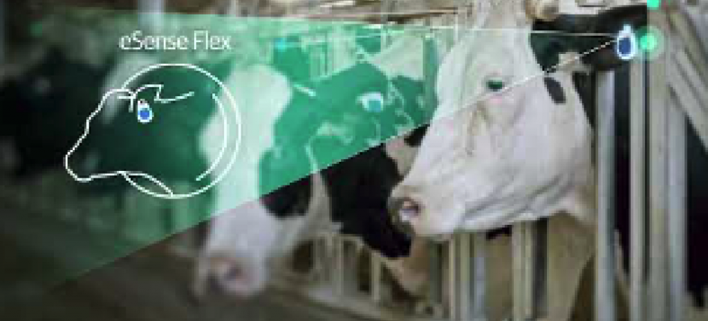 SenseHub Livestock Intelligence – EFS