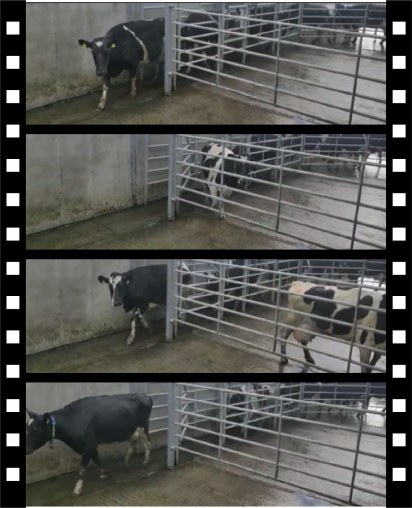 DRAFTING SYSTEM – EFS